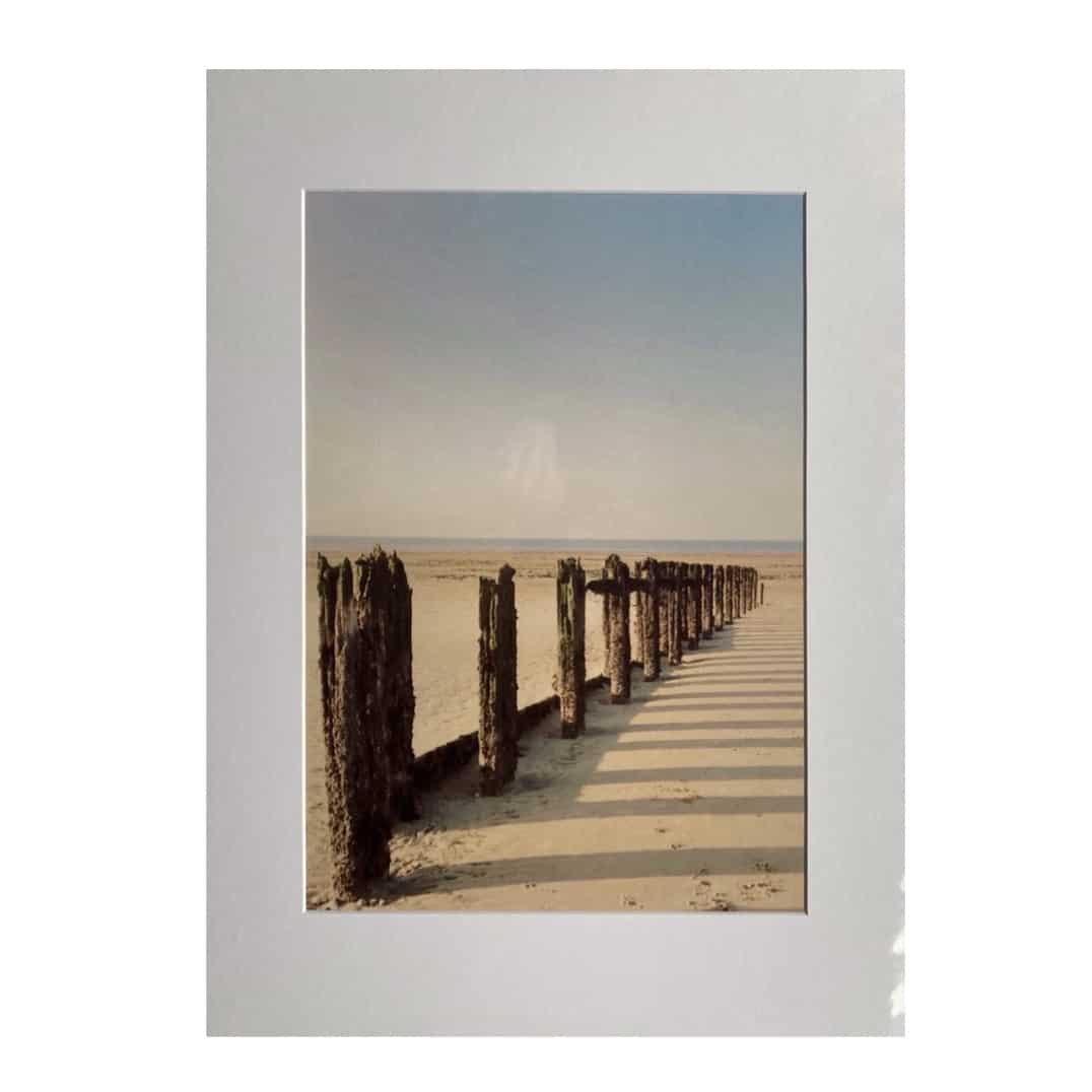 Shoreline Partners